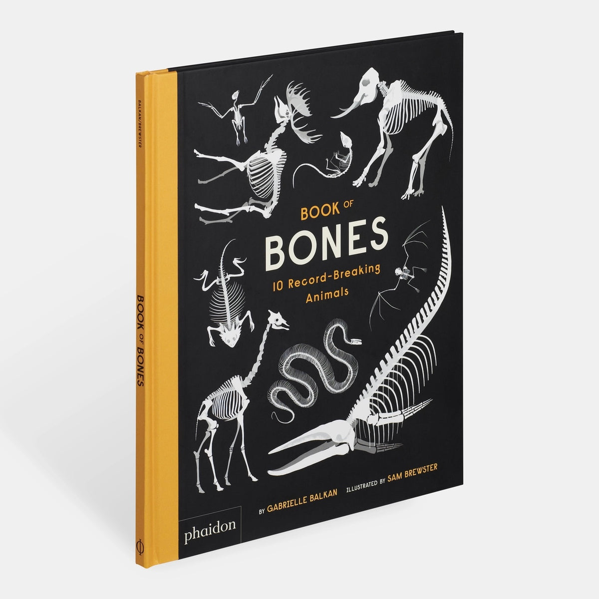 Book of Bones: 10 Record-Breaking Animals – OKCMOA STORE